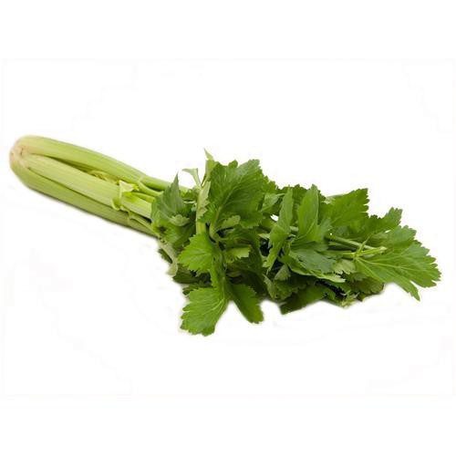 Apio | Casa de la fruta